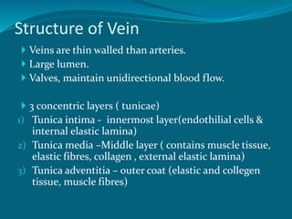 Venous drainageof head and neck ih | PPTX