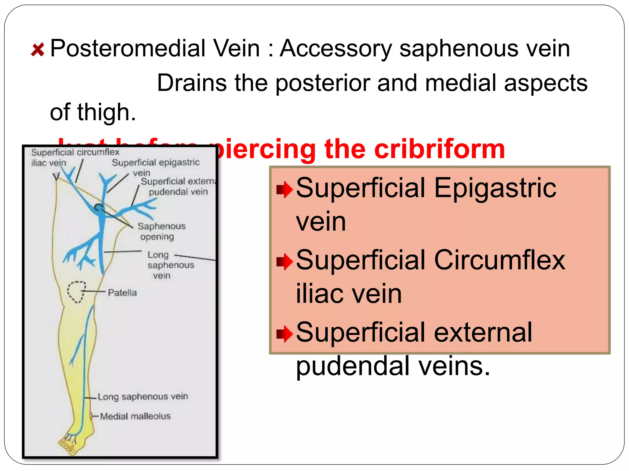 Venous drainage of lower limb | PPTX