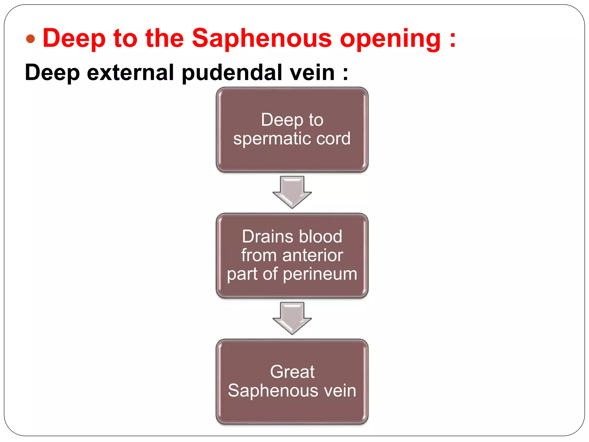 Venous drainage of lower limb | PPTX