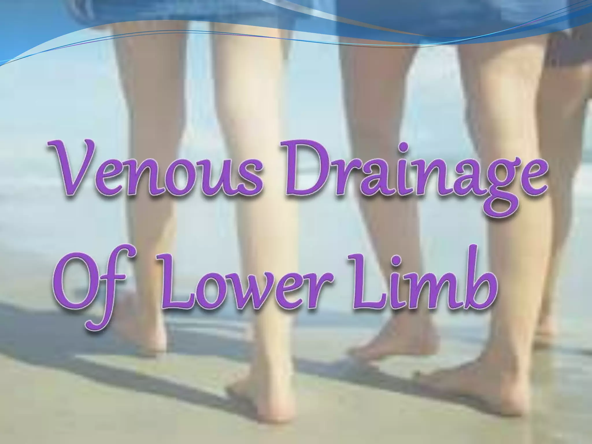 Venous drainage of lower limb ppt | PPTX