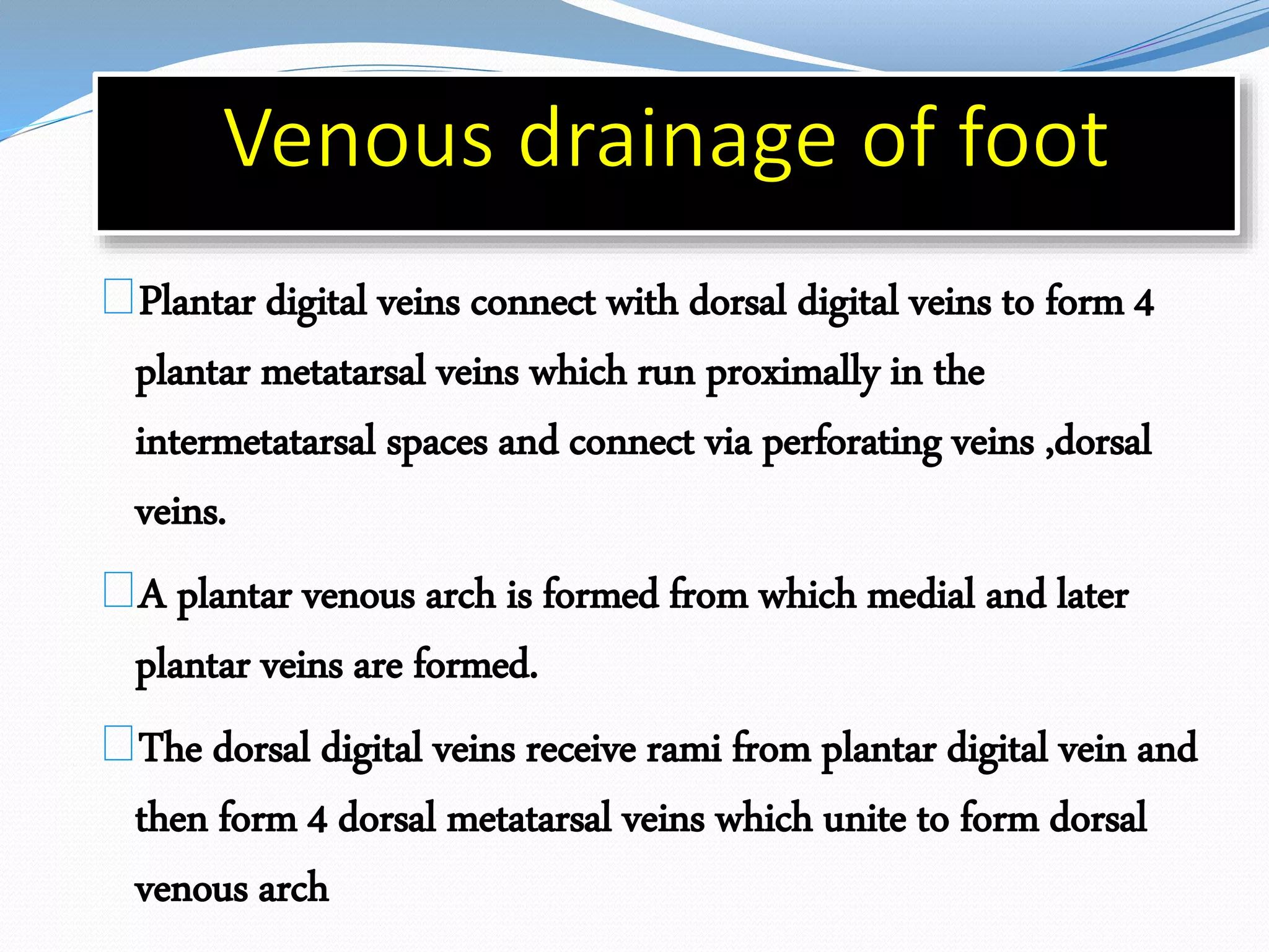 Venous drainage of lower limb ppt | PPTX