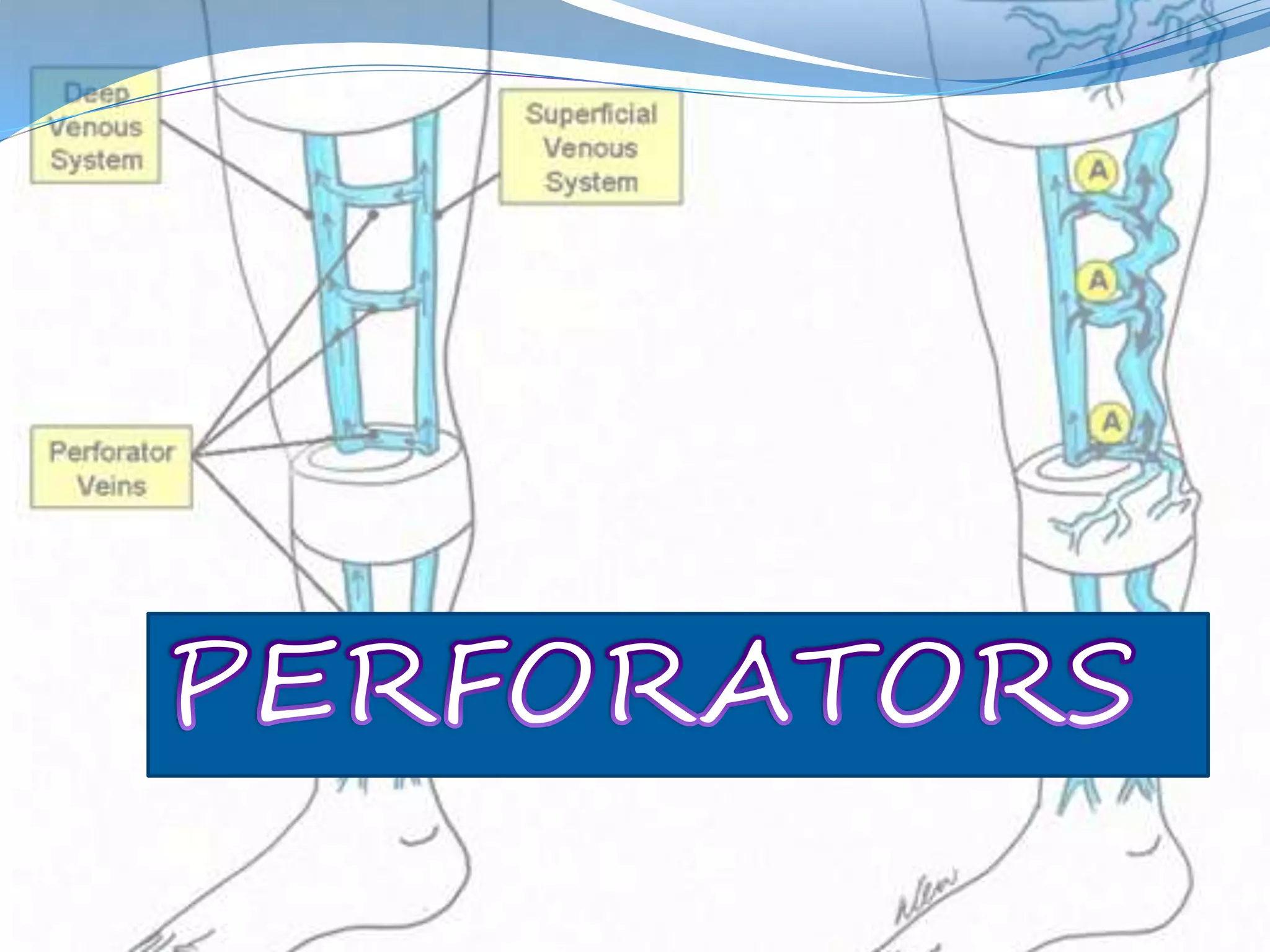 Venous drainage of lower limb ppt | PPTX