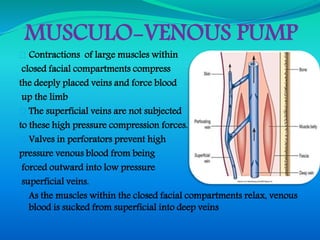 Venous drainage of lower limb ppt | PPTX