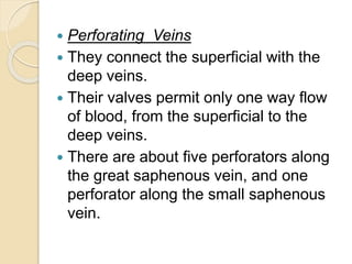 Venous drainage of the lower limb | PPTX