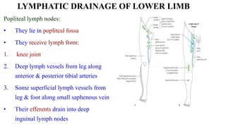 VENOUS Dranage of the lower linb anatomy .pdf | Death, Injury, or Military Conflict | Sensitive ...
