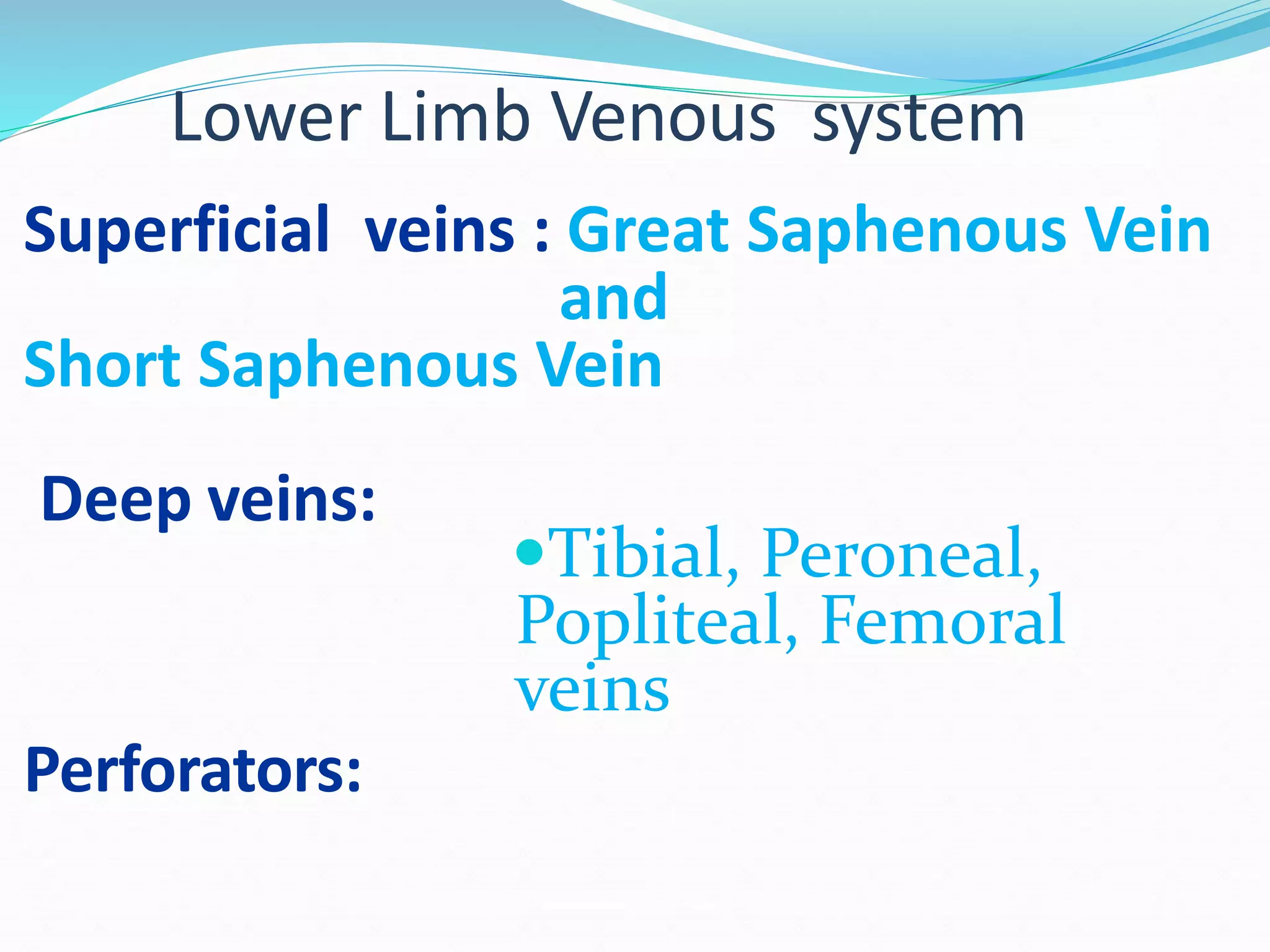 VENOUS DRAINAGE OF THE LOWER LIMBS.ppt