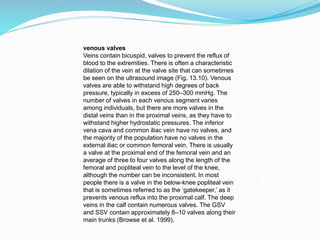 VENOUS DRAINAGE OF THE LOWER LIMBS.ppt