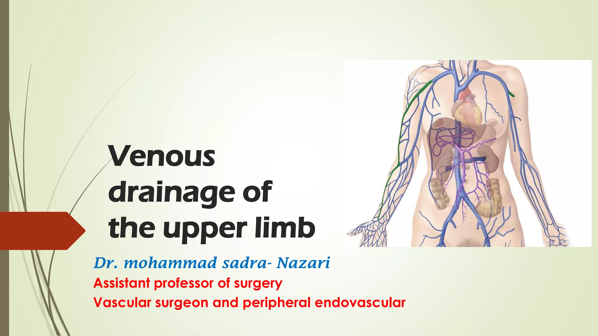 Venous drainage of the upper limb. | PDF