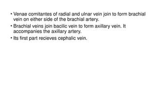 venous drainage of upper limb presentation | PPTX