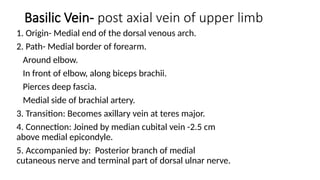 venous drainage of upper limb presentation | PPTX