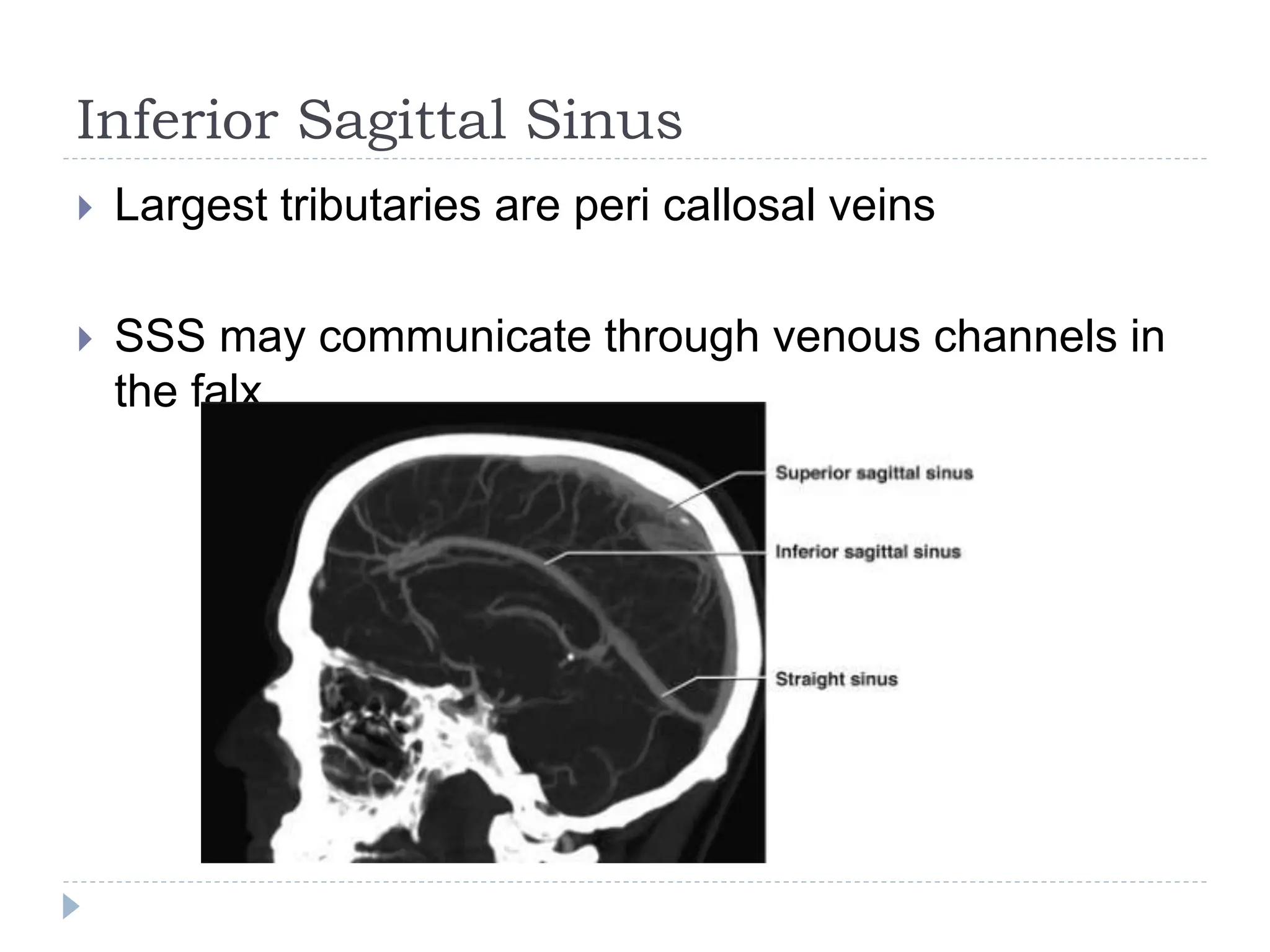 Venous Drainage of the Brain Presentation pptx | PPTX