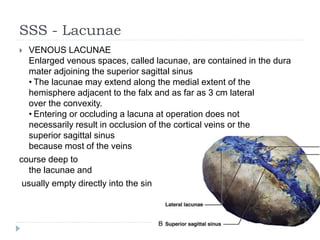 Venous Drainage of the Brain Presentation pptx | PPTX
