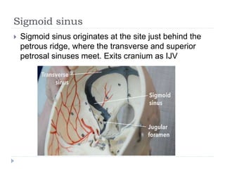 Venous Drainage of the Brain Presentation pptx | PPTX