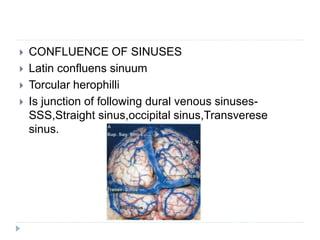 Venous Drainage of the Brain Presentation pptx | PPTX