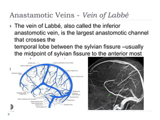 Venous Drainage of the Brain Presentation pptx | PPTX