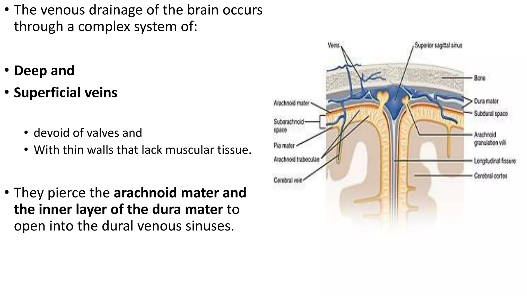 Venous drainage system of brain - Dr Sameep Koshti (Consultant ...