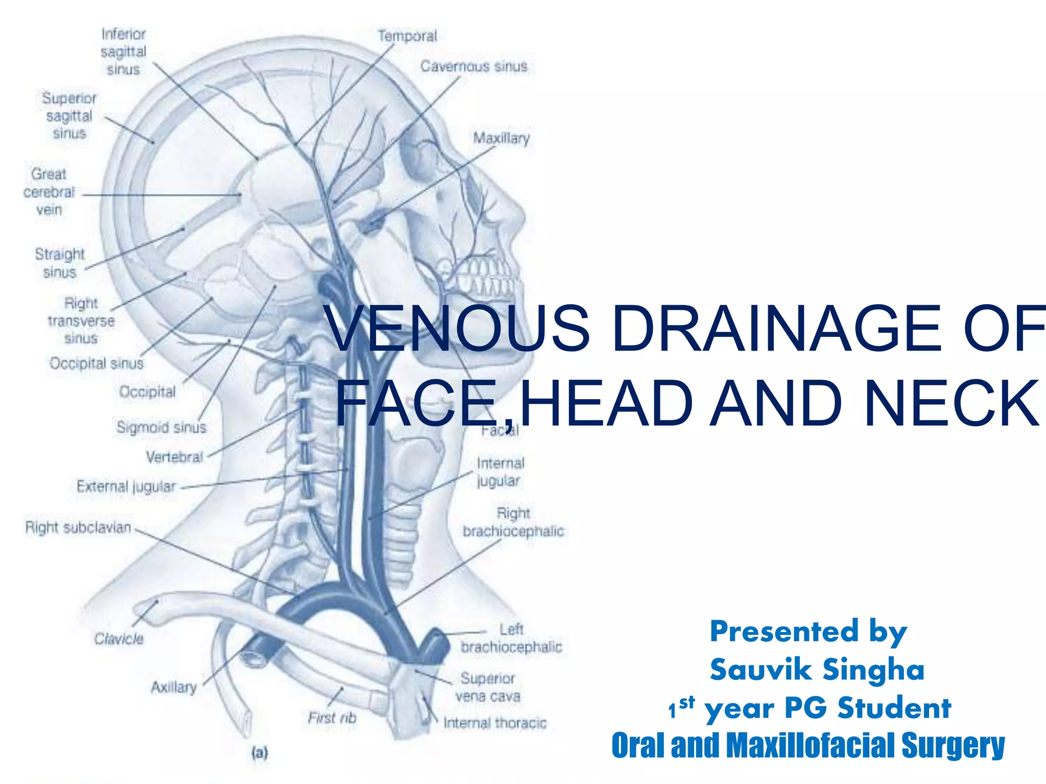 Venous drainge | PPTX
