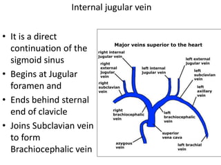 Venous drainge | PPTX