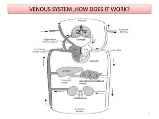 Venous drainge | PPTX