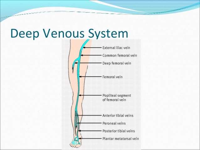 Venous insufficiency dvt - final year mbbs lecture