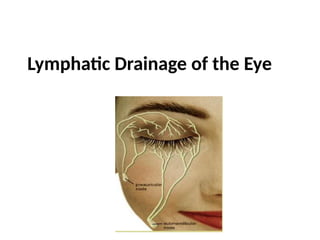 venous,lymphatic drainage of eye and nervesupplyofeyelid.pptx