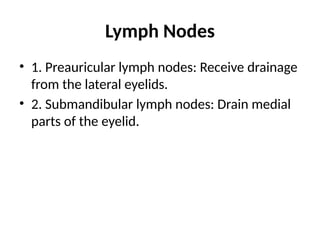 venous,lymphatic drainage of eye and nervesupplyofeyelid.pptx
