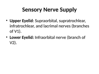 venous,lymphatic drainage of eye and nervesupplyofeyelid.pptx