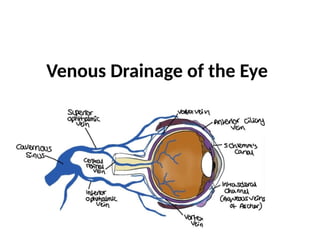 venous,lymphatic drainage of eye and nervesupplyofeyelid.pptx