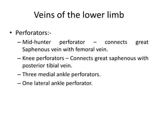 Venous lymphatic drainage of lower limb | PPTX
