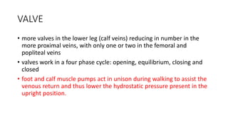 Venous pathophysiology | PPTX