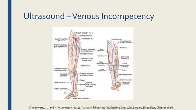 Venous physiology assessment | PPTX