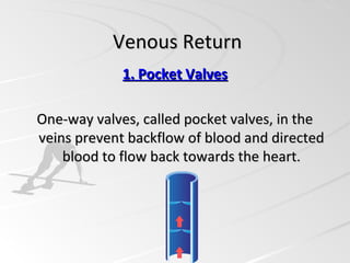 Venous return 18 07-2017 | PPT