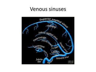 Venous sinuses | PPTX