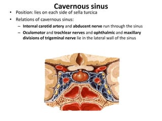 Venous sinuses | PPTX