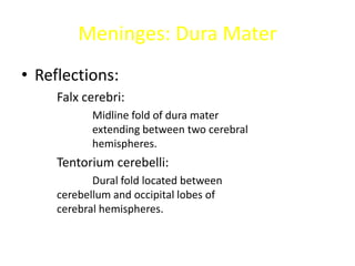 Venous sinuses | PPTX