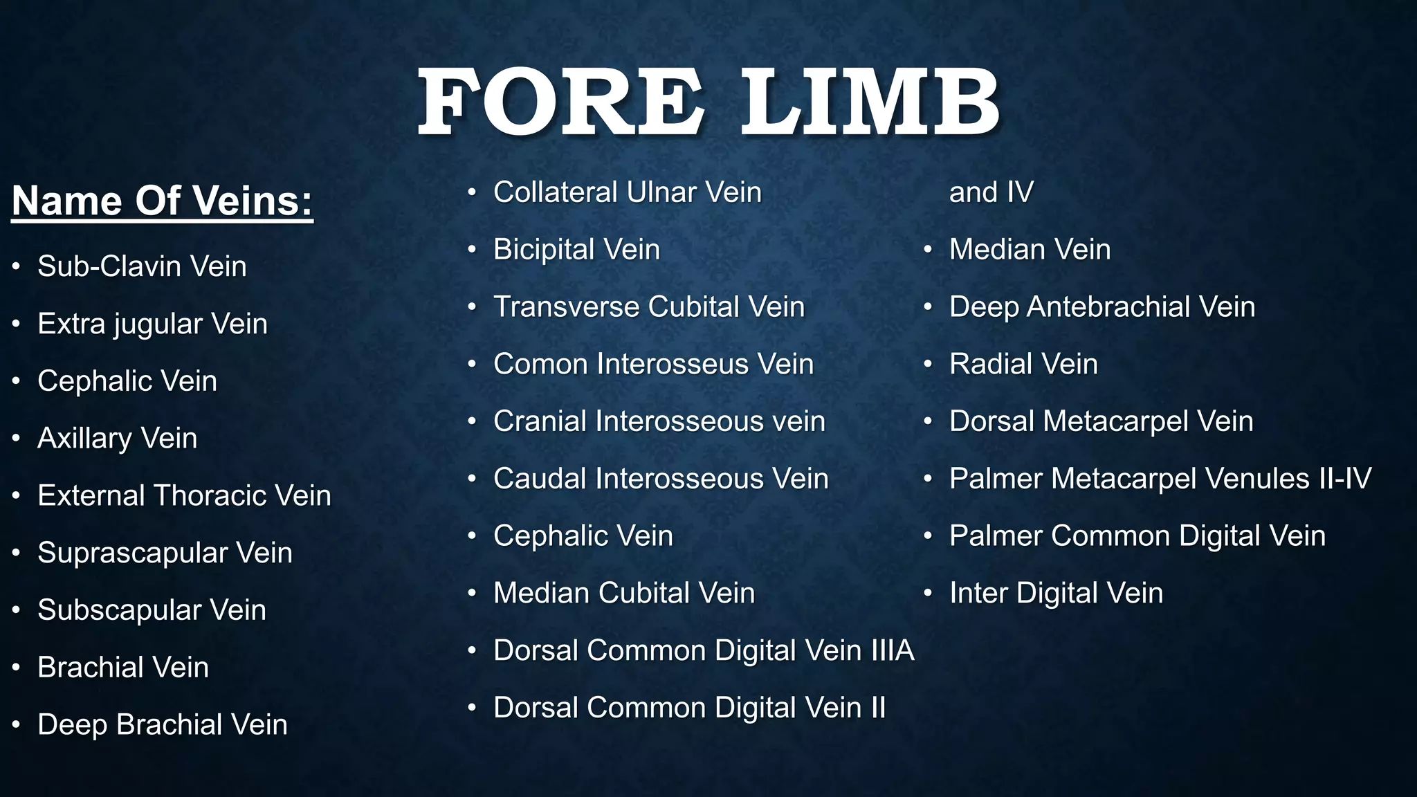 Venous supply of fore and hind limb | PPTX