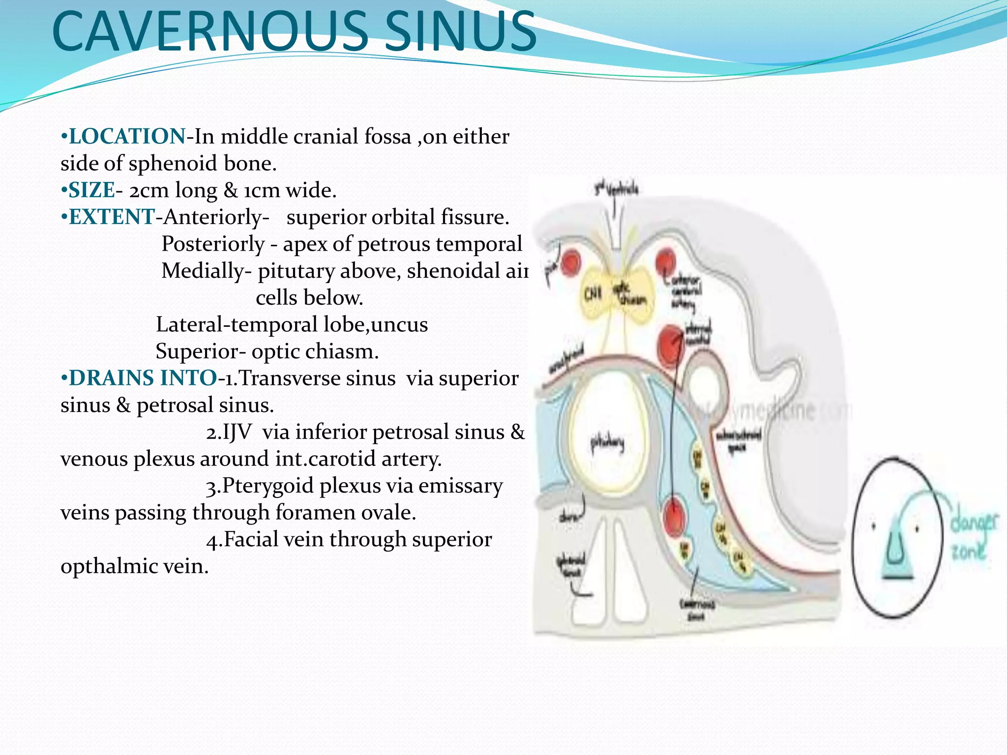 Venous supply of head, neck and face | PPTX