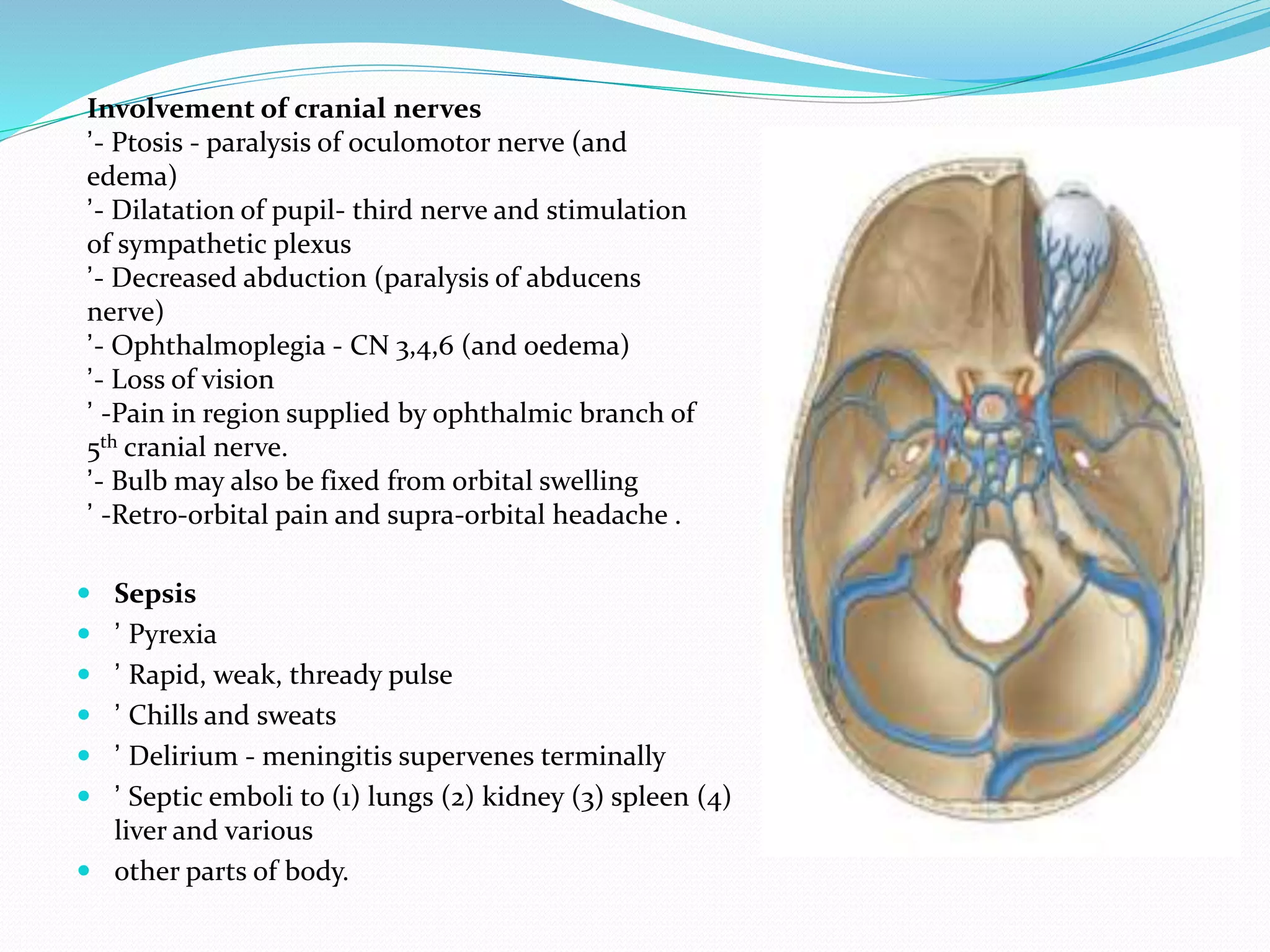 Venous supply of head, neck and face | PPTX