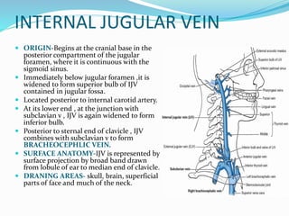 Venous supply of head, neck and face | PPTX