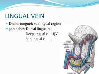 Venous supply of head, neck and face | PPTX