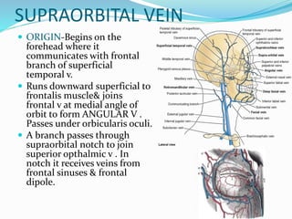 Venous supply of head, neck and face | PPTX