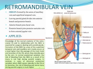 Venous supply of head, neck and face | PPTX