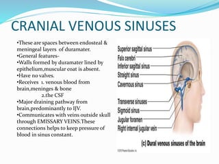 Venous supply of head, neck and face | PPTX