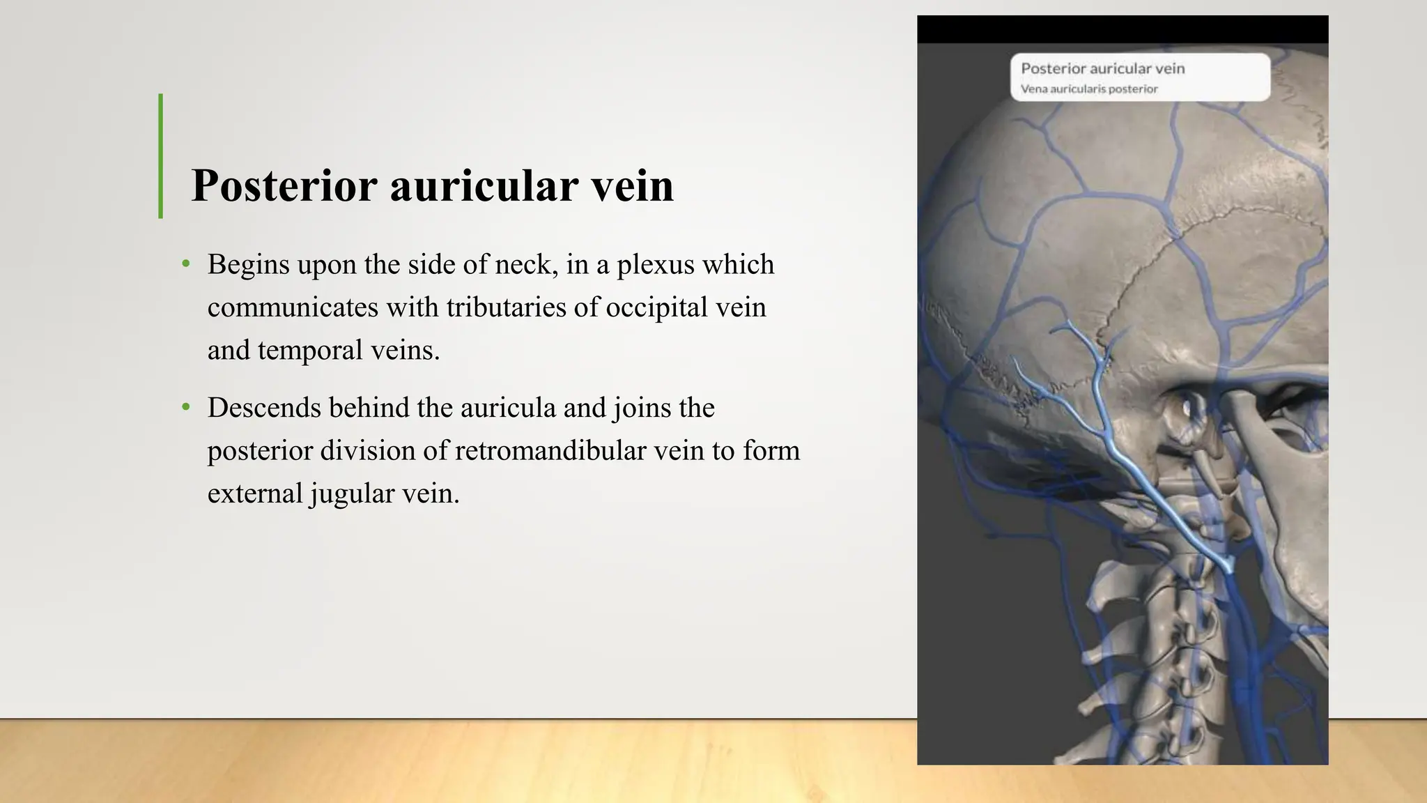 Venous Supply of head, neck and face.pptx