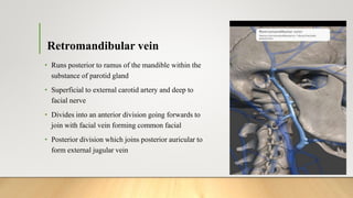 Venous Supply of head, neck and face.pptx
