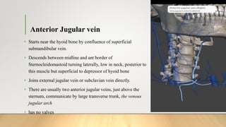 Venous Supply of head, neck and face.pptx