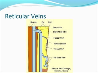 Venous system final year mbbs lecture | PPT
