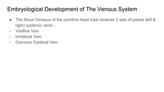 venous system and venovenous collaterals.pptx