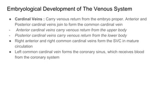 venous system and venovenous collaterals.pptx