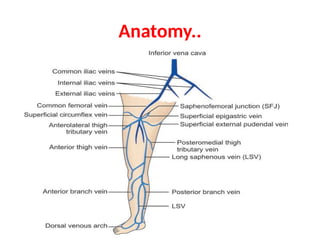 Venous system examination in surgery.pptx